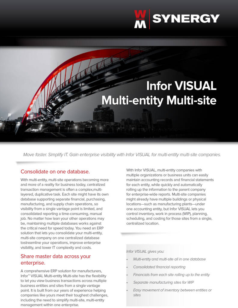Infor VISUAL Financials | WM Synergy