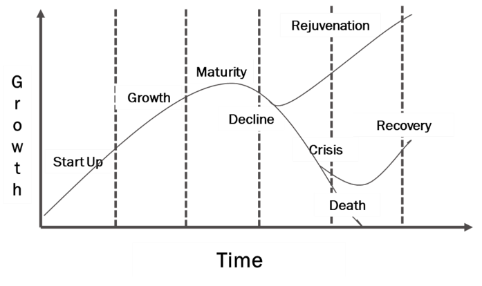 Geometric Growth | WM Synergy