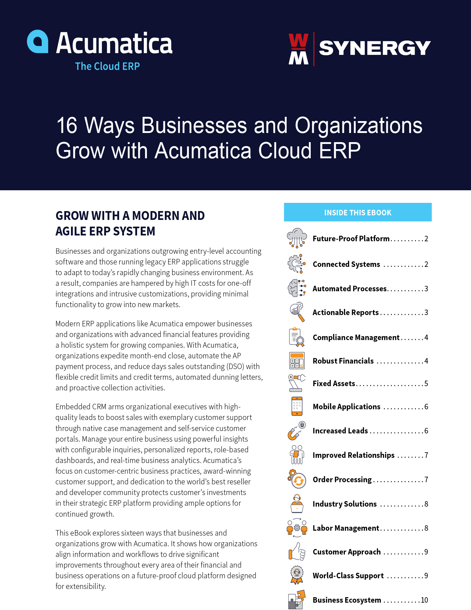 16 Ways Businesses and Organizations Grow with Acumatica Cloud ERP | WM Synergy